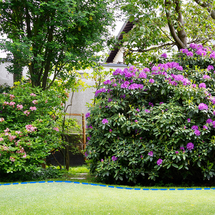 Novabot - Revolutionary Autonomous Lawn Care Robot